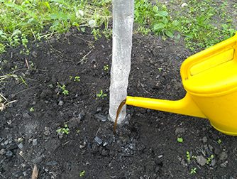 Гумат — что это и как применять правильно | WikiBotanika.ru